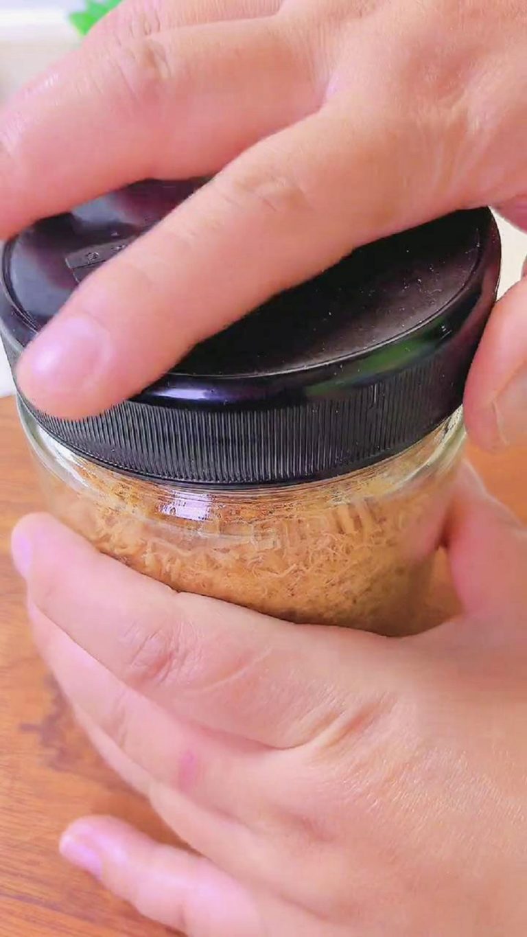 How to Make Meat Floss (Pork Floss) - Cafe Deluxe